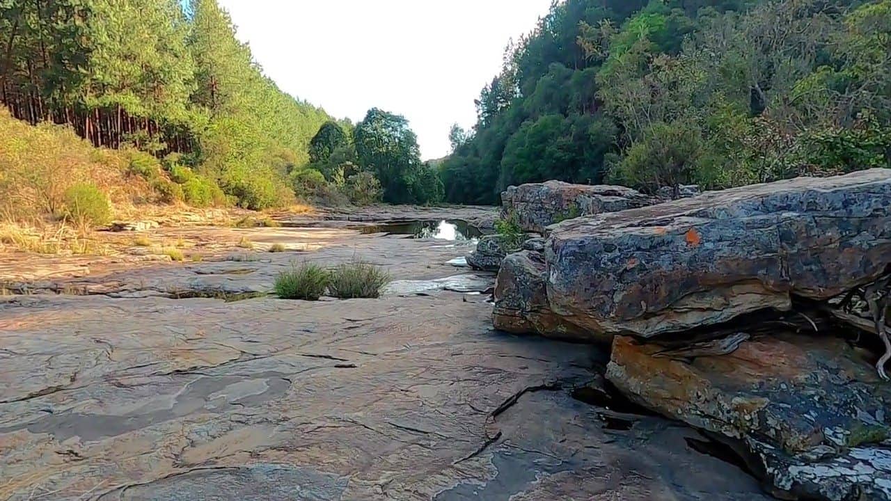 International Day to Combat Desertification and Drought, a risk to be ...