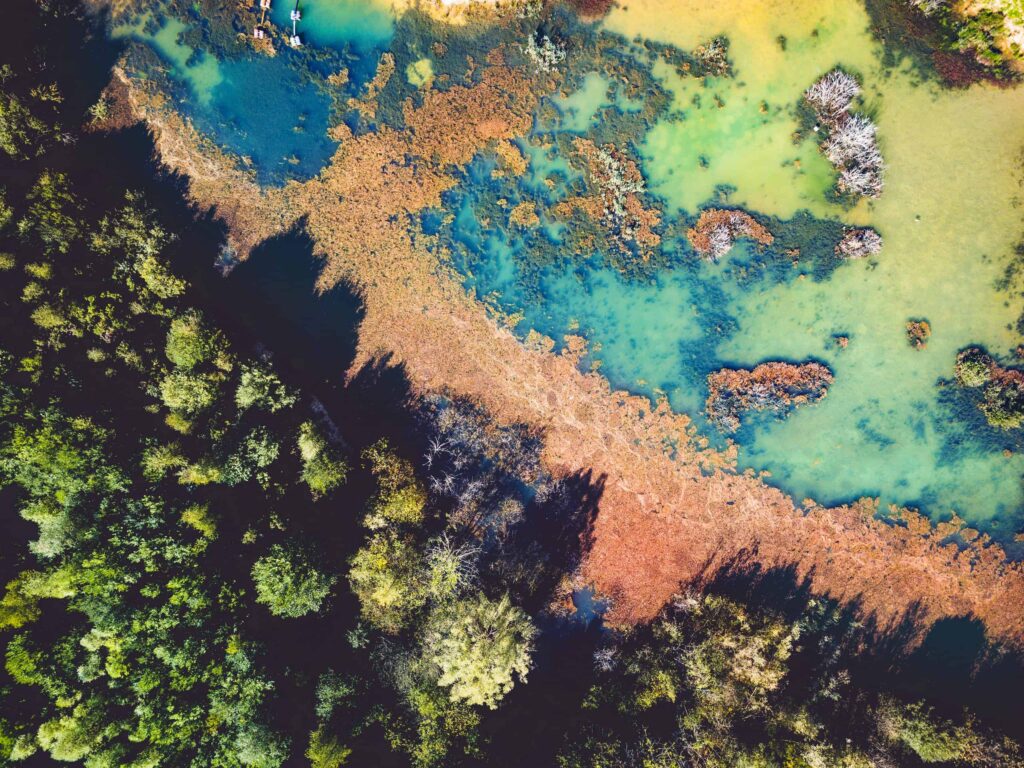 The Emergent Nexus: Risk Resilience, Biodiversity and Ecosystem ...