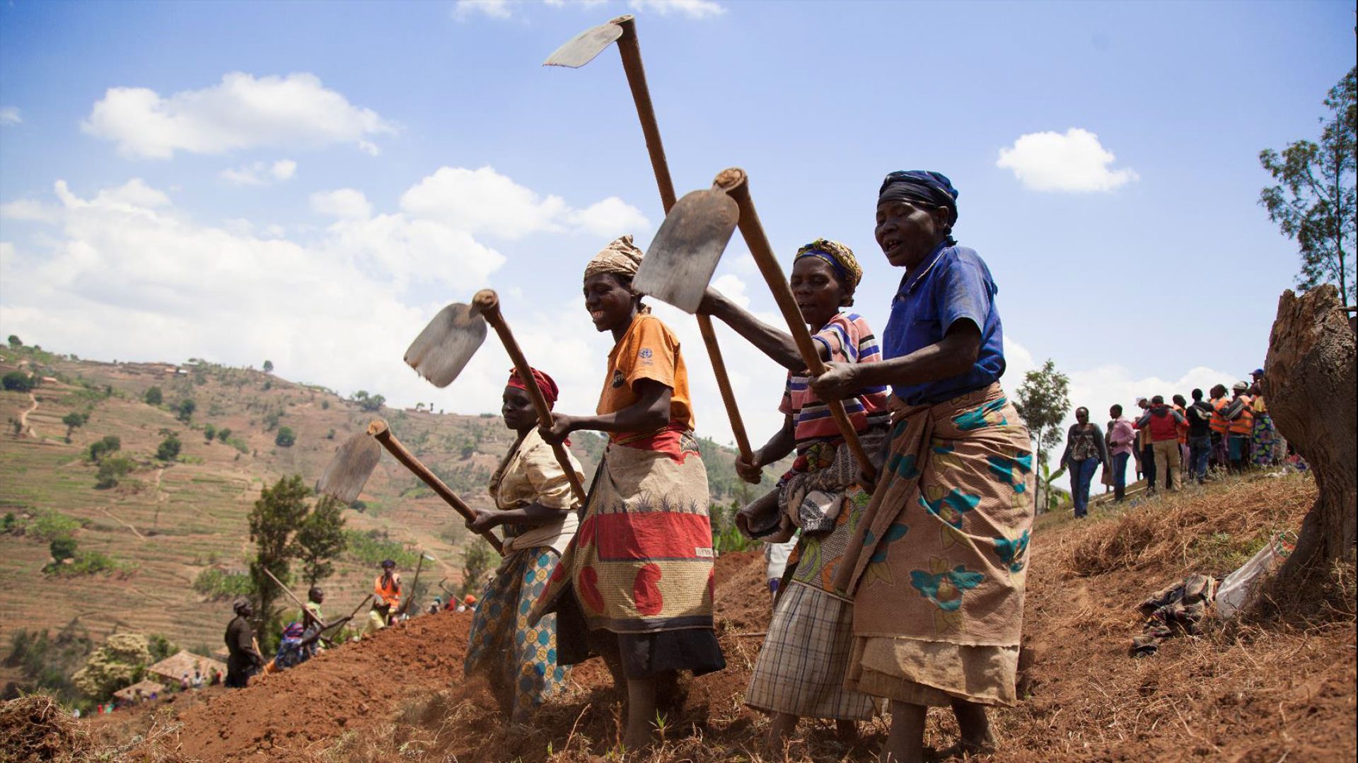 News - CIMA Research Foundation