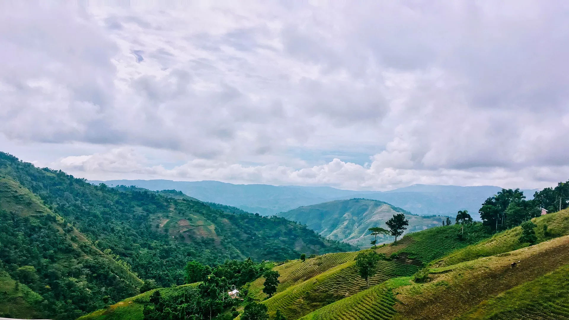 CCD MEA Haiti - CIMA Research Foundation