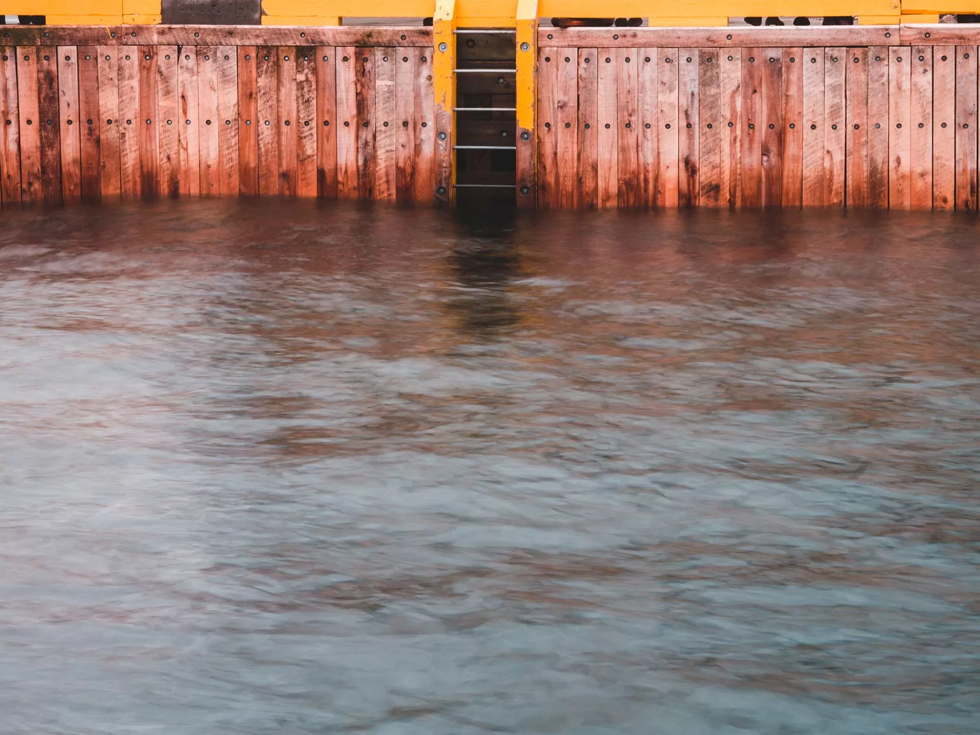 PPRD South III - CIMA Research Foundation